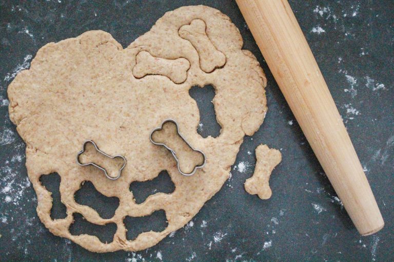 Homemade Dog Cookies for Your Spoiled Puppy | Lilies and Loafers