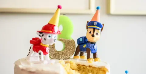 paw patrol cake topper tutorial